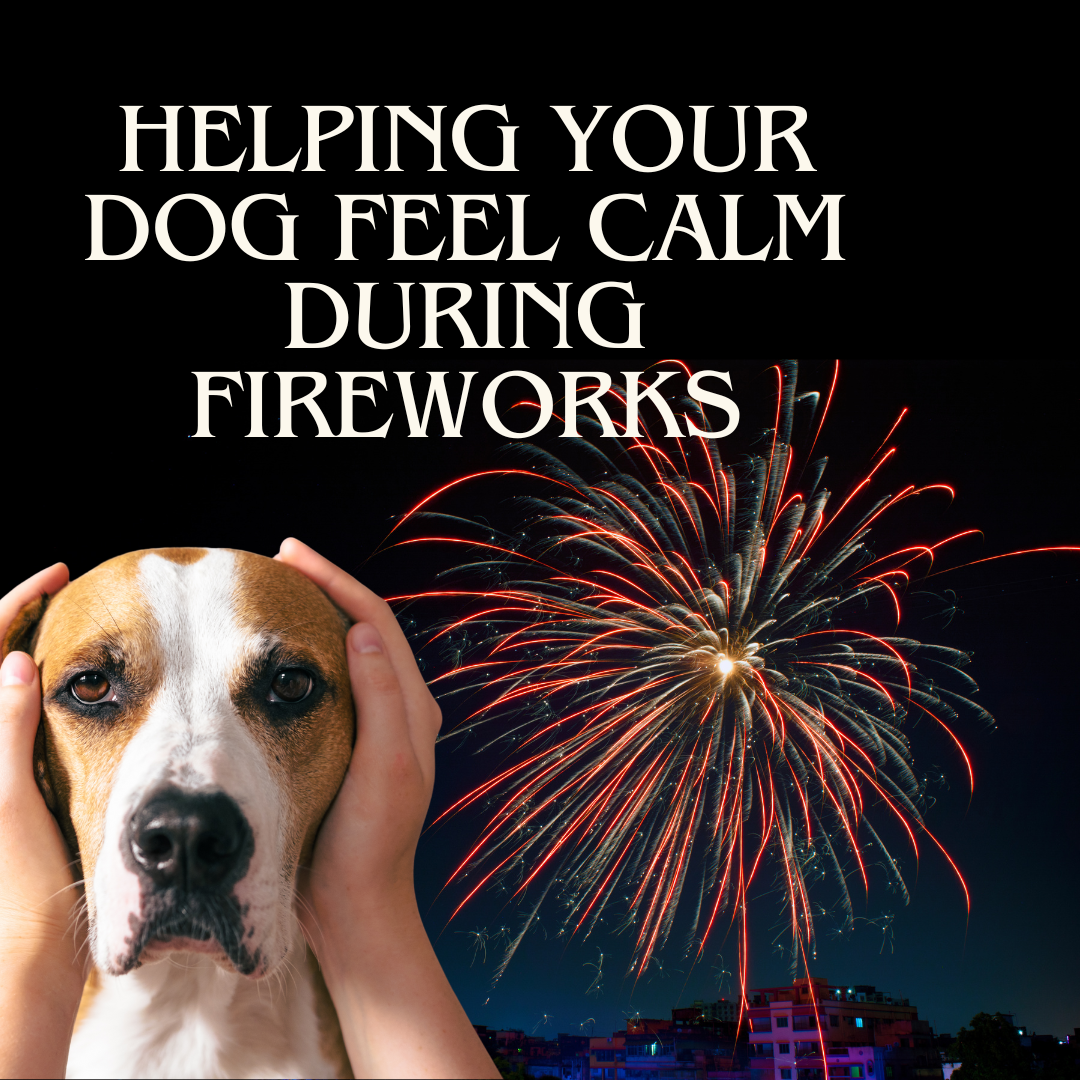 Top Tips To Help Your Dog Feel Safe and Calm During Fireworks – Furbal ...