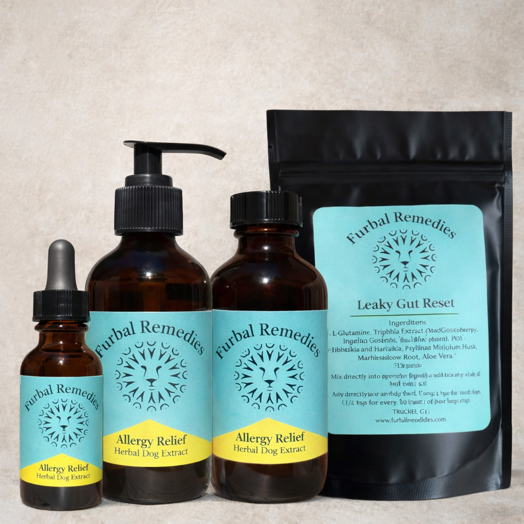 Furbal Remedies - Holistic canine care