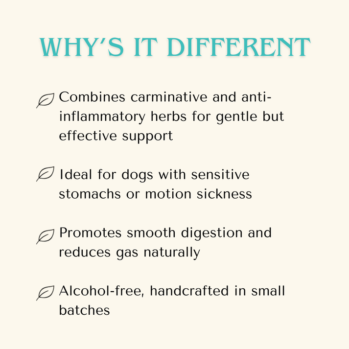 Tummy Tonic for Dogs | Herbal Digestive Relief Extract – Furbal Remedies