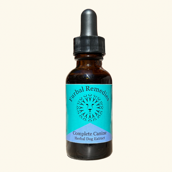 Optimal Wellness - Complete Canine Extract - Whole Food, Herbal Dog ...