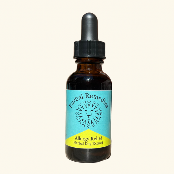 Allergy Relief Extract — Organic Herbal Allergy Support for Dogs ...