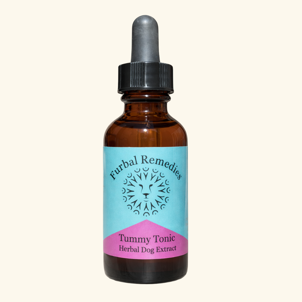 Tummy Tonic for Dogs | Herbal Digestive Relief Extract – Furbal Remedies