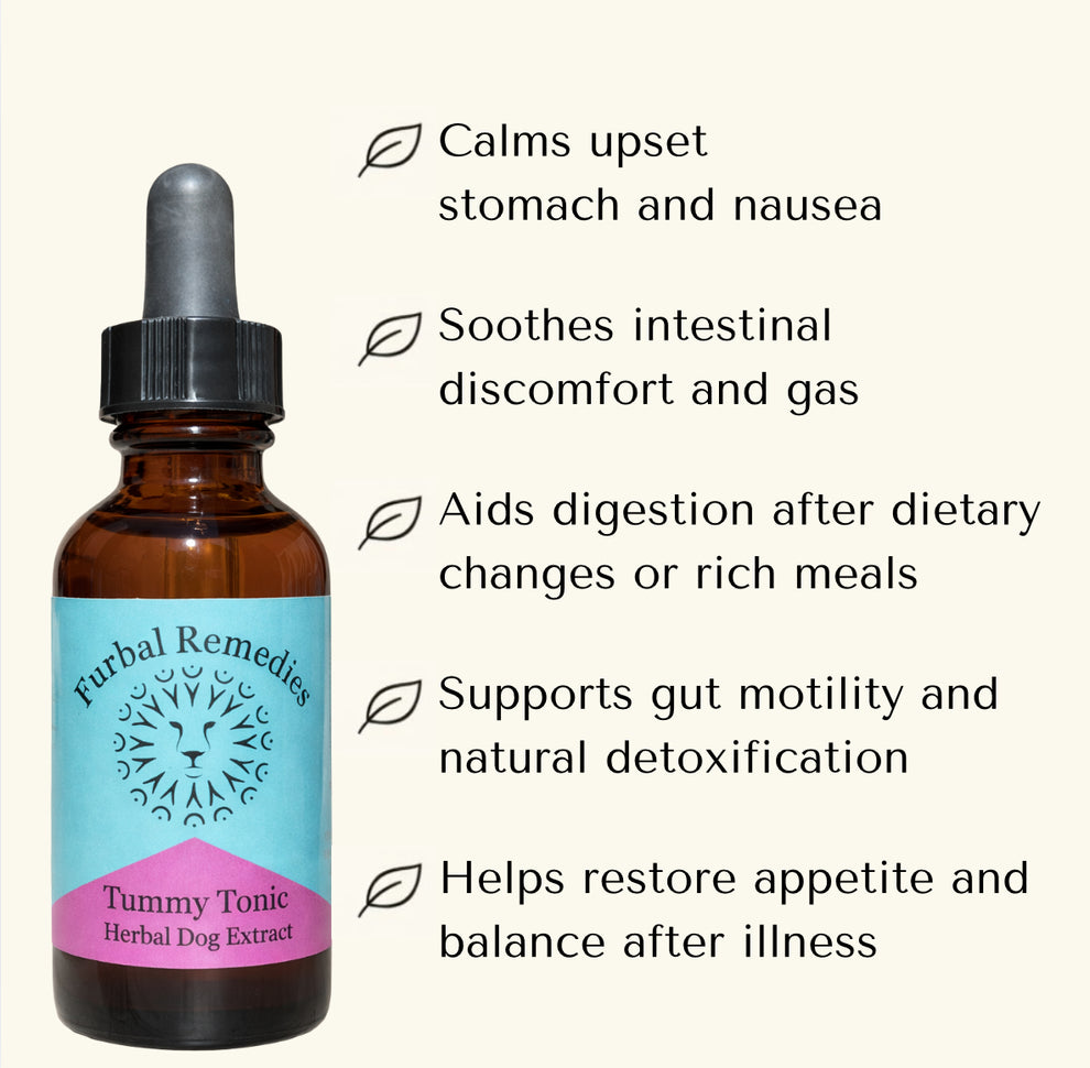 Tummy Tonic for Dogs | Herbal Digestive Relief Extract – Furbal Remedies
