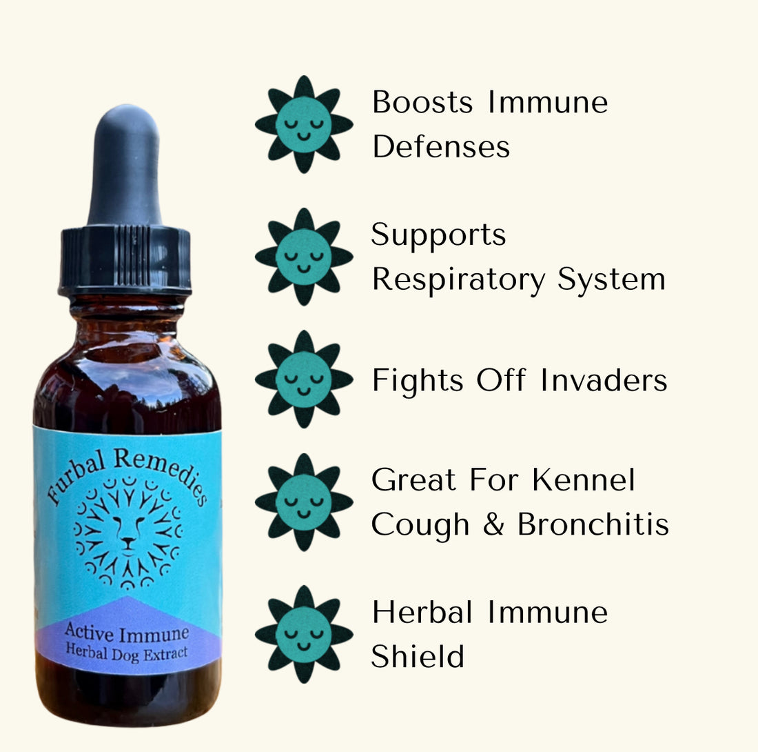 Active Immune Extract | Immune Support for Dogs & Cats – Furbal Remedies