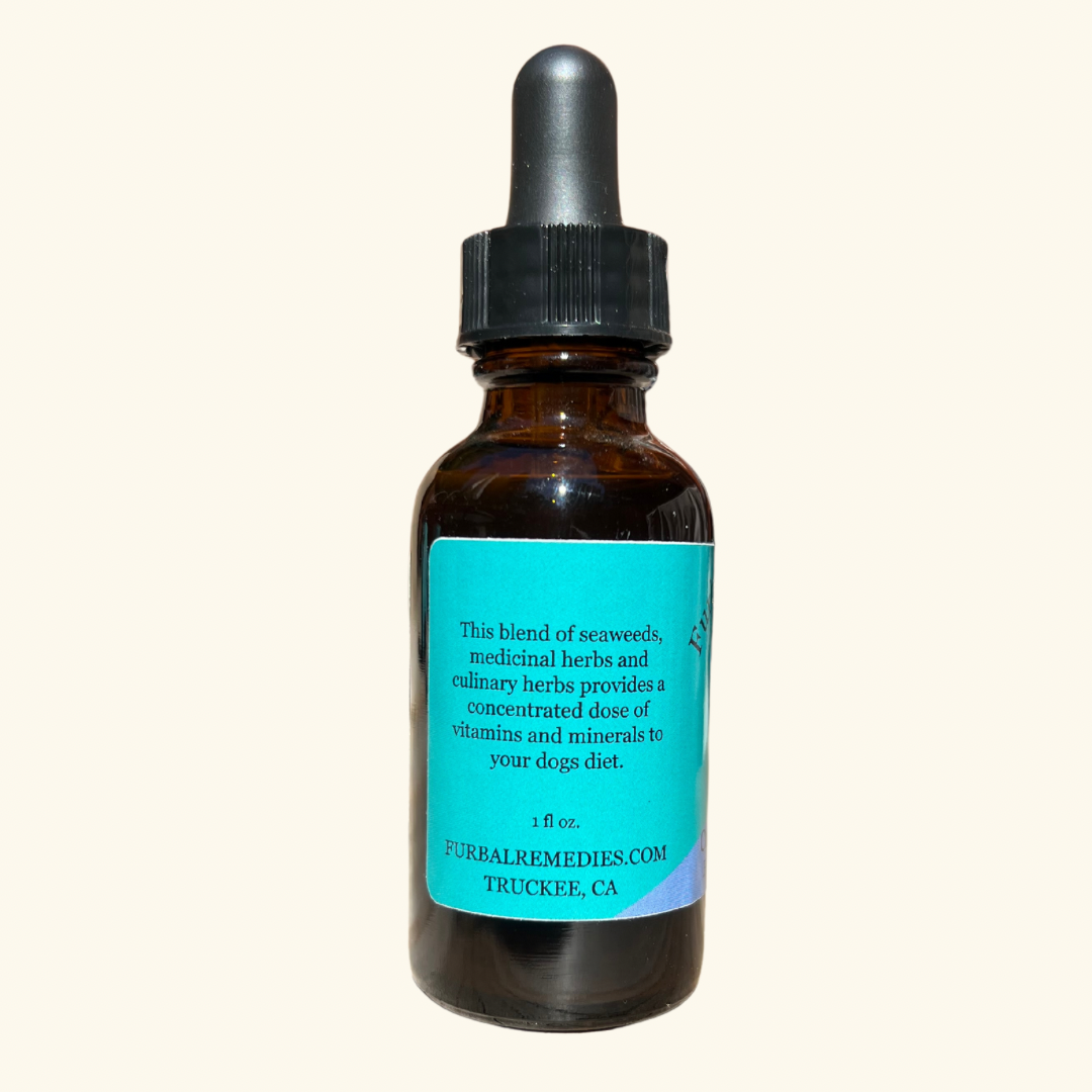 Optimal Wellness - Complete Canine Extract - Whole Food, Herbal Dog ...
