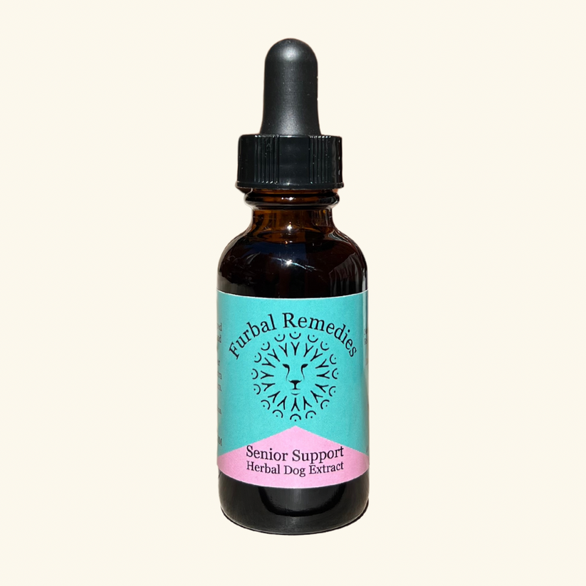 Senior Support Extract | Gentle Herbal Aging Support for Pets – Furbal ...