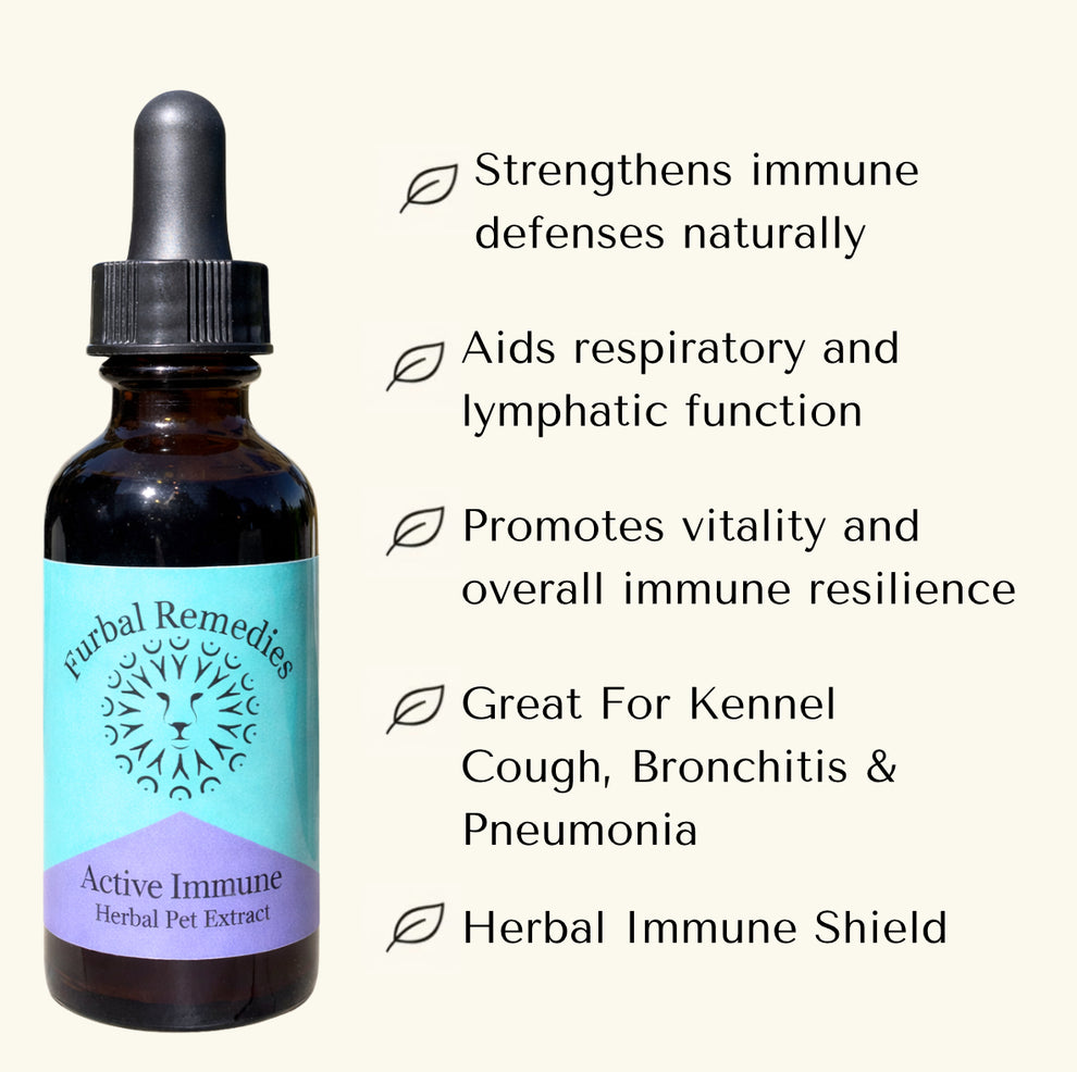 Active Immune Extract | Immune Support for Dogs & Cats – Furbal Remedies