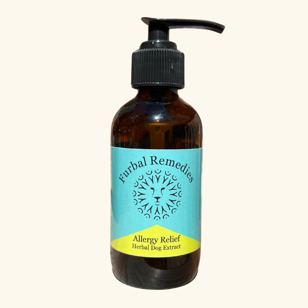 Allergy Relief Extract — Organic Herbal Allergy Support for Dogs ...