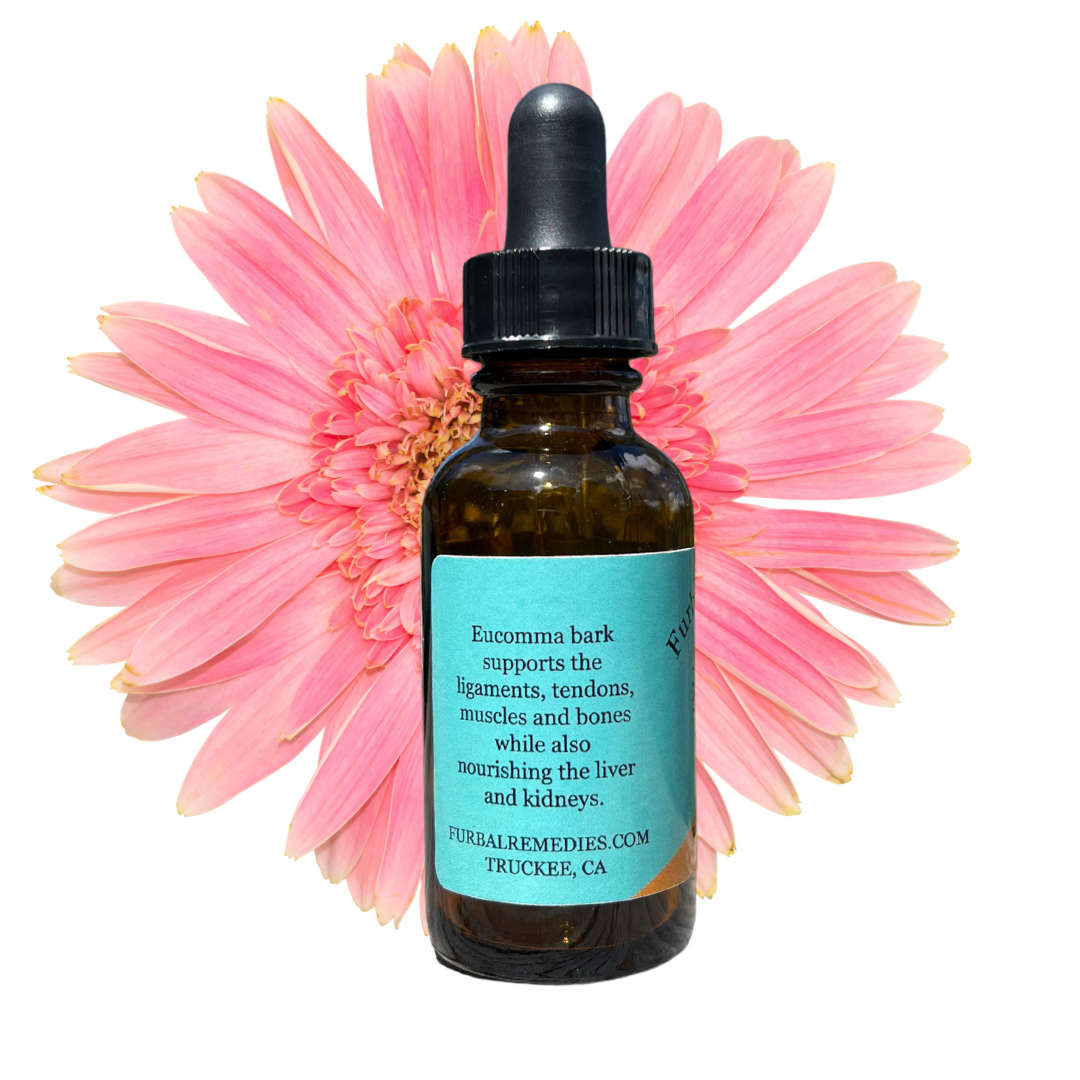 Eucommia Bark Extract – Furbal Remedies