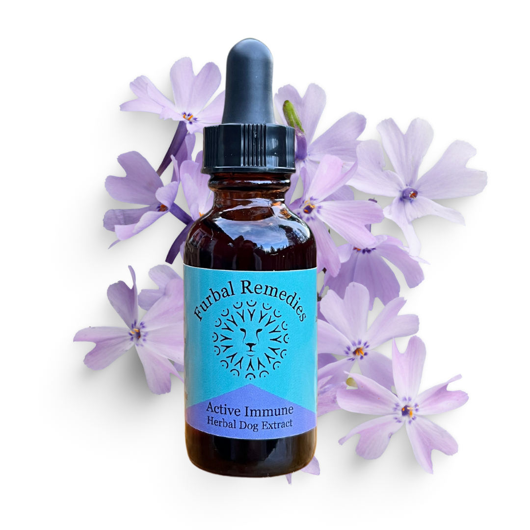 Active Immune Dog Extract – Furbal Remedies