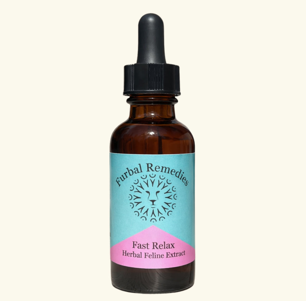 Shop All Pet Supplements | Herbal Remedies for Dogs & Cats – Furbal ...