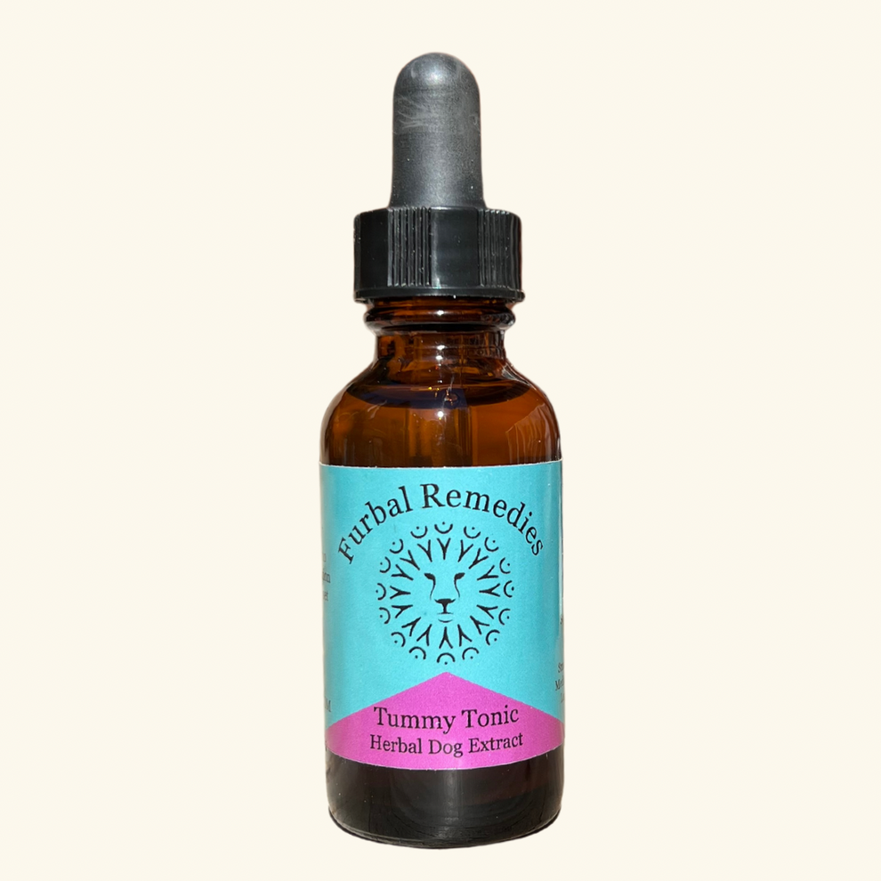Tummy Tonic for Dogs | Herbal Digestive Relief Extract – Furbal Remedies