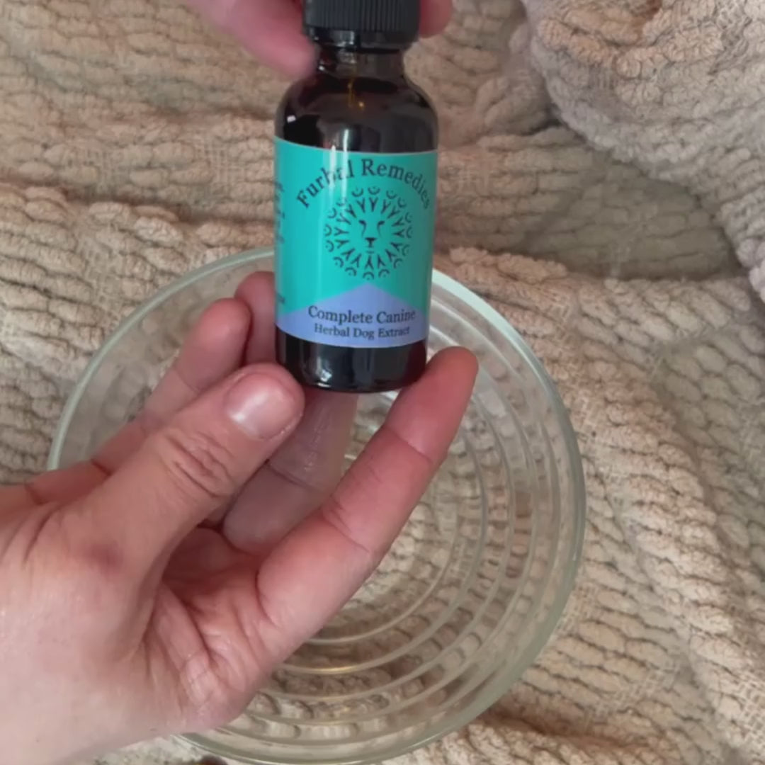 Optimal Wellness - Complete Canine Extract - Whole Food, Herbal Dog ...