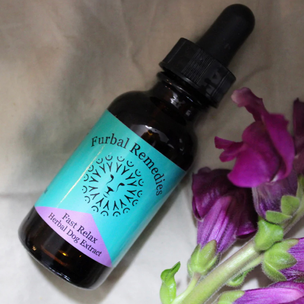 Anxiety - Fast Relax Extract - Natural, Herbal Dog Remedy – Furbal Remedies